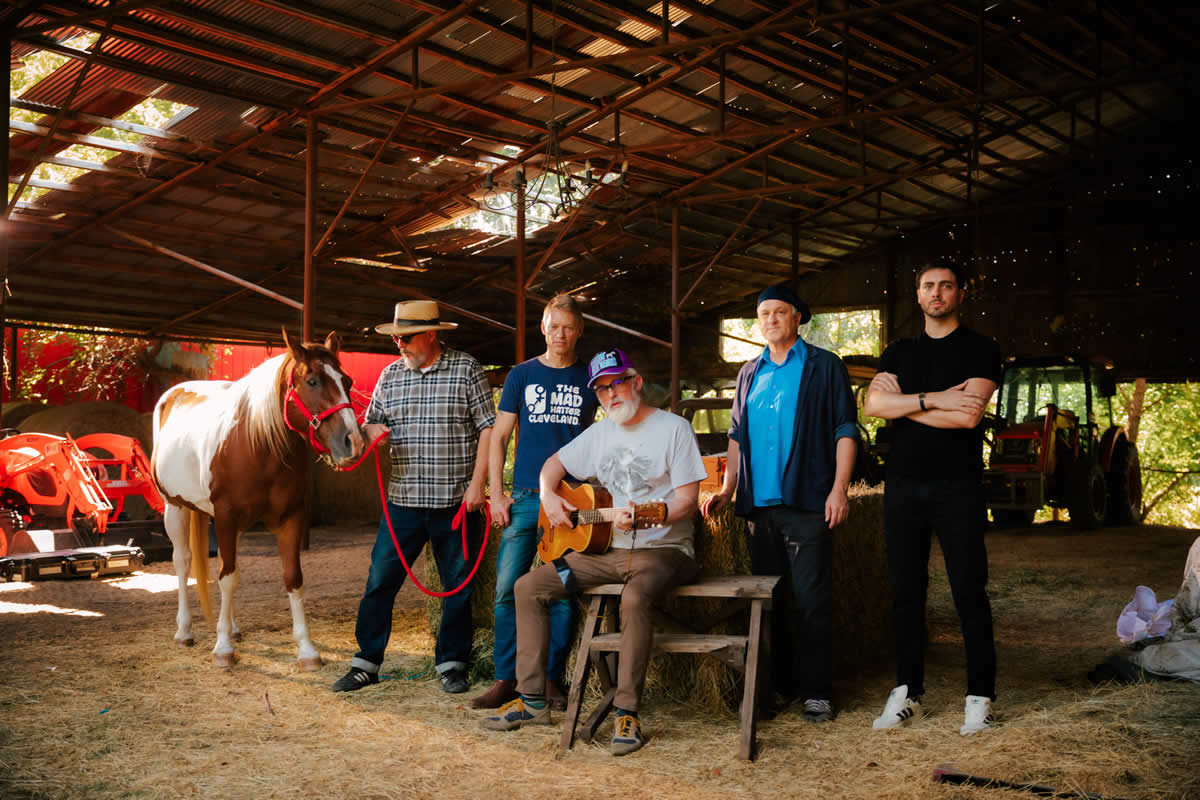 CAKE - Remlinger Farms